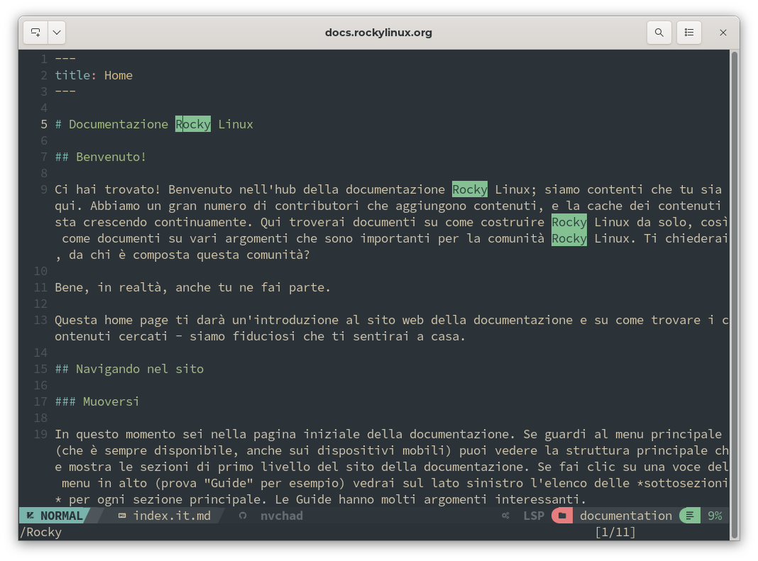 Using NvChad - Documentation