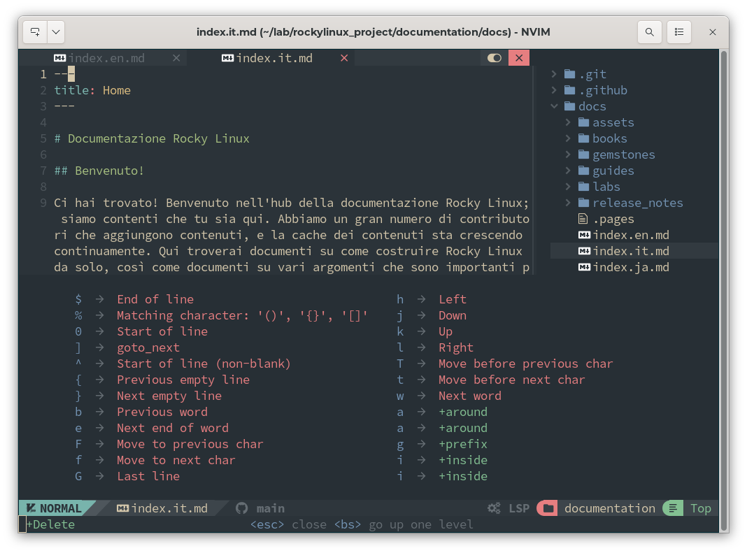 NvChad UI - Documentation