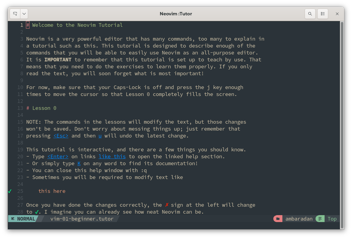 Installare Neovim - Documentation